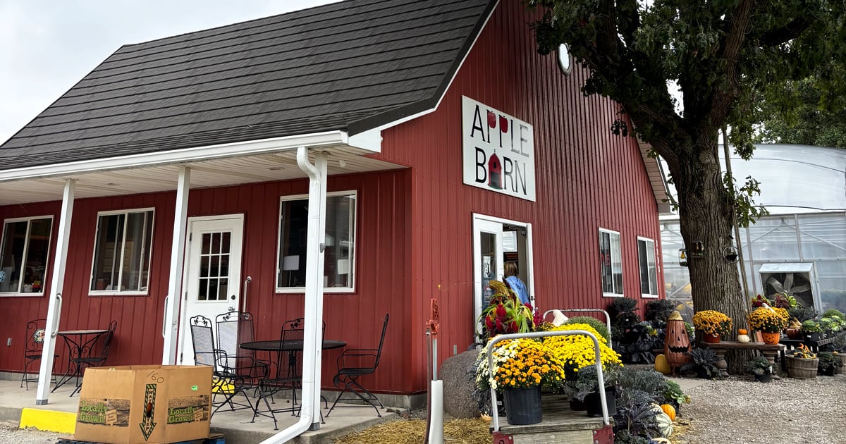 This Sweet Road Trip Will Take You To 8 Underrated Bakeries In Illinois You Need To Try ...